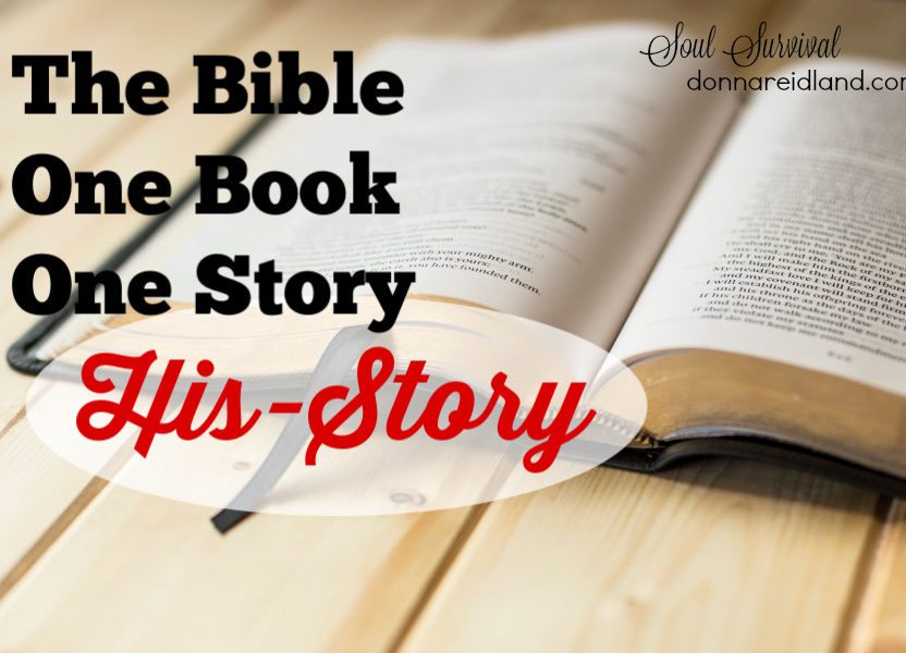 "The Bible, One Book, One Story" December 30 - Soul Survival