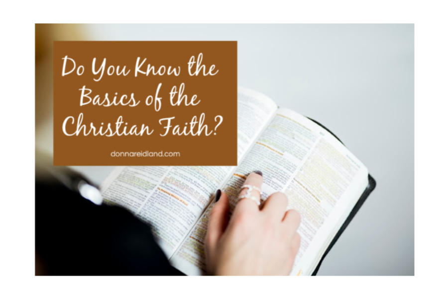 "Do You Know the Basics of the Christian Faith?" June 24 - Soul Survival