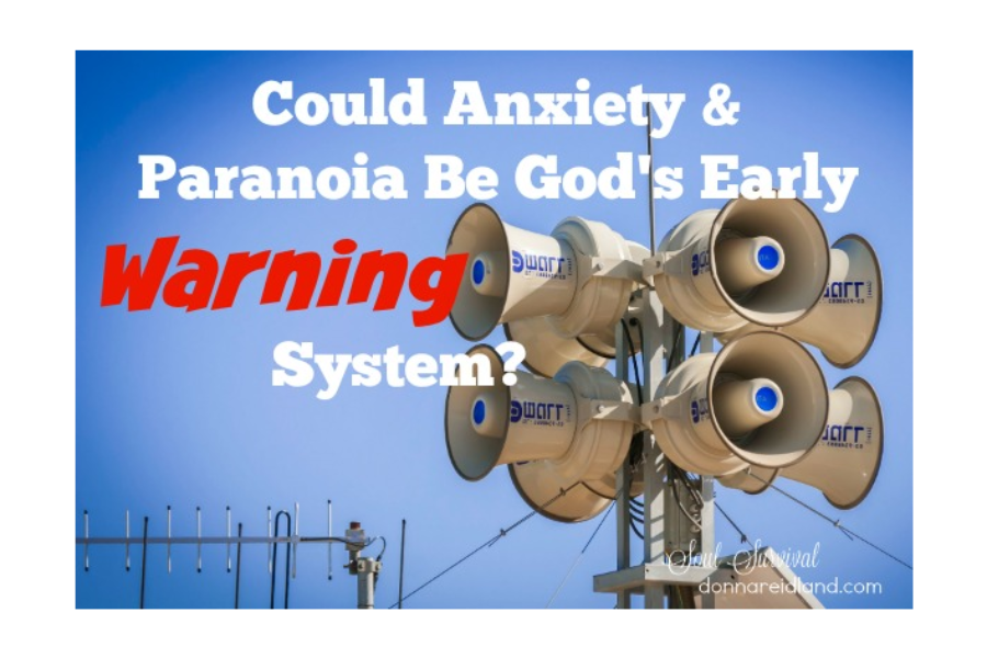 "Paranoia: God's Early Warning System?" October 27 - Soul Survival