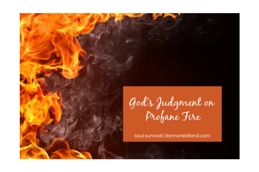 "God's Judgment on Profane Fire" February 19 - Soul Survival
