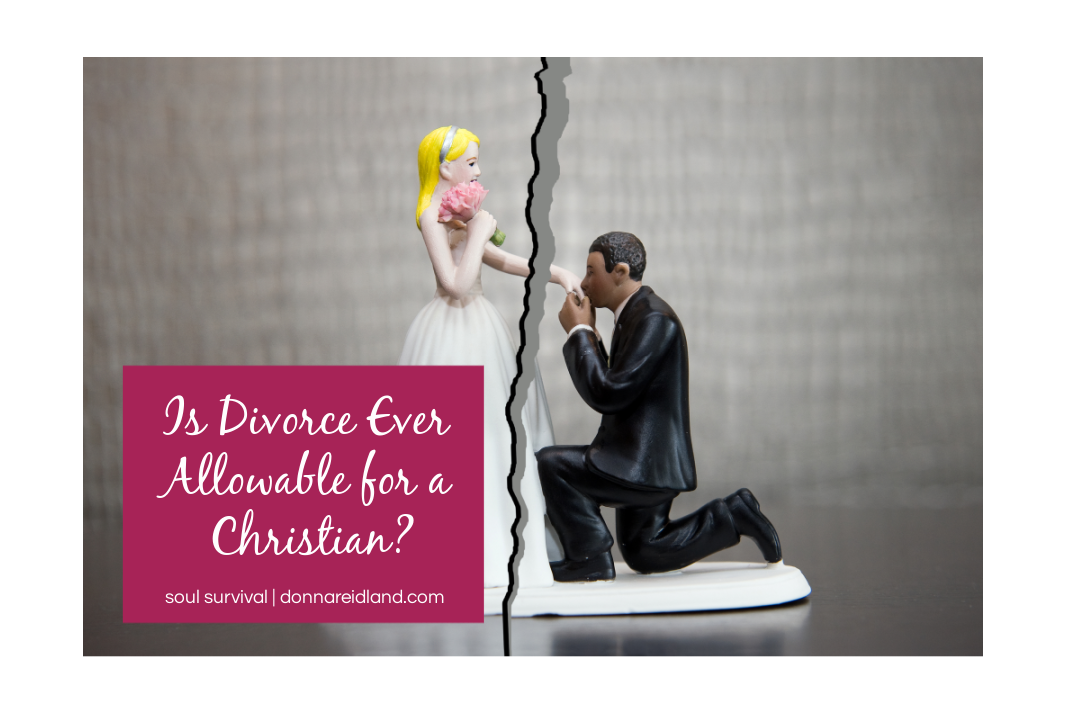 "Is Divorce Ever Allowable for a Christian?" July 24 - Soul Survival