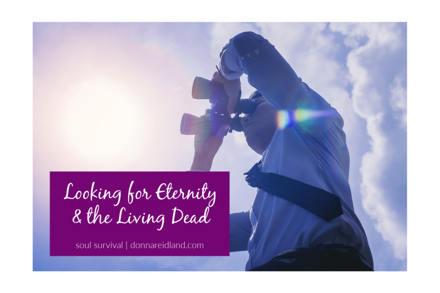 "Looking for Eternity & the Living Dead" October 17 - Soul Survival