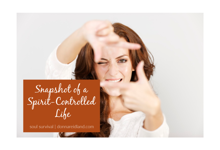 "Snapshot of a Spirit-Controlled Life" October 4 - Soul Survival