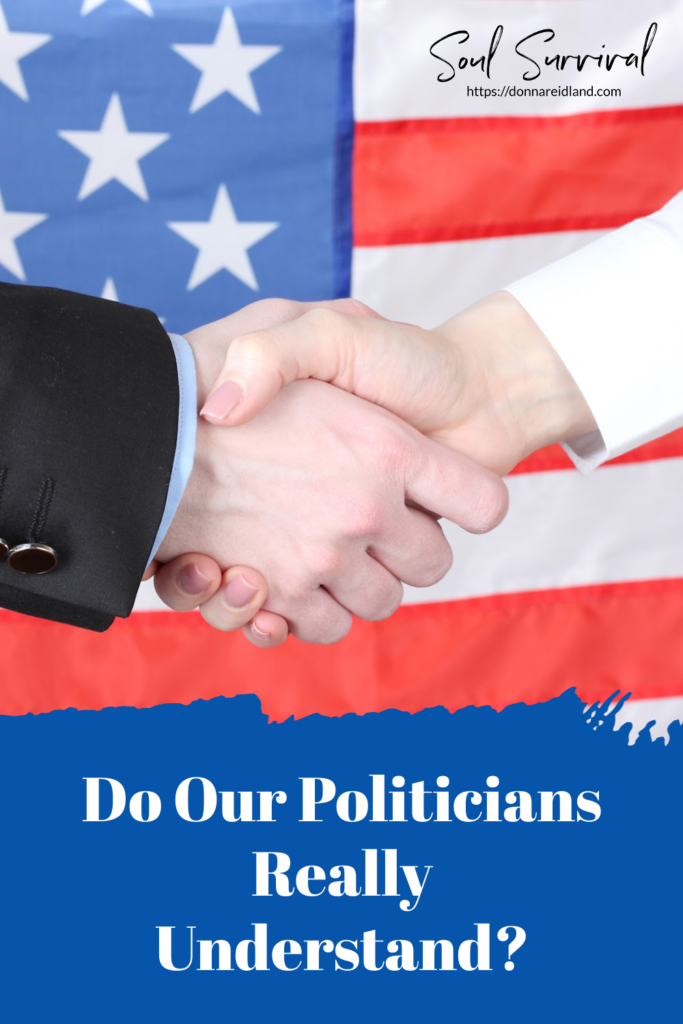 Do Our Politicians Really Understand? & Newsletter - Soul Survival
