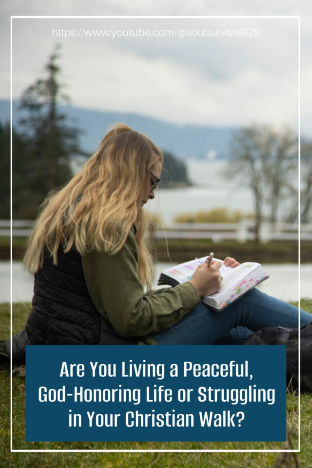 "Are You Living a Peaceful, God-Honoring Life or Struggling in Your ...