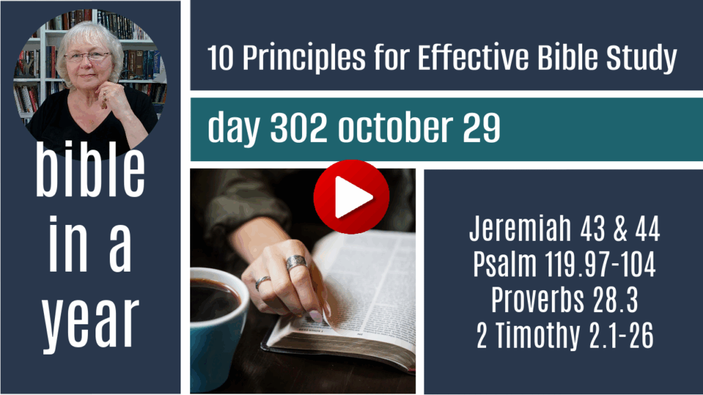 "10 Principles for Effective Bible Study" October 29 - Soul Survival